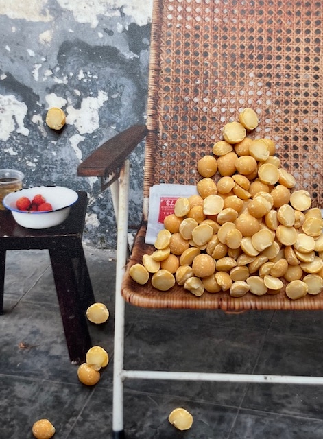 Gule erter, delt, tørket og økologiske, 1 kg, løsvekt | Fat og Fe er en ...